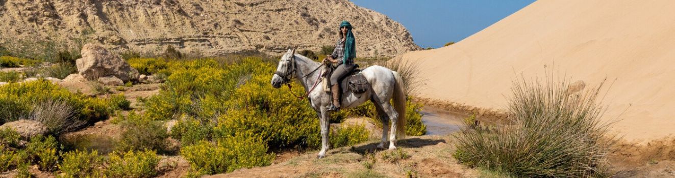 Le cheval arabe berbère : de l'Antiquité à aujourd'hui – Ranch De Diabat
