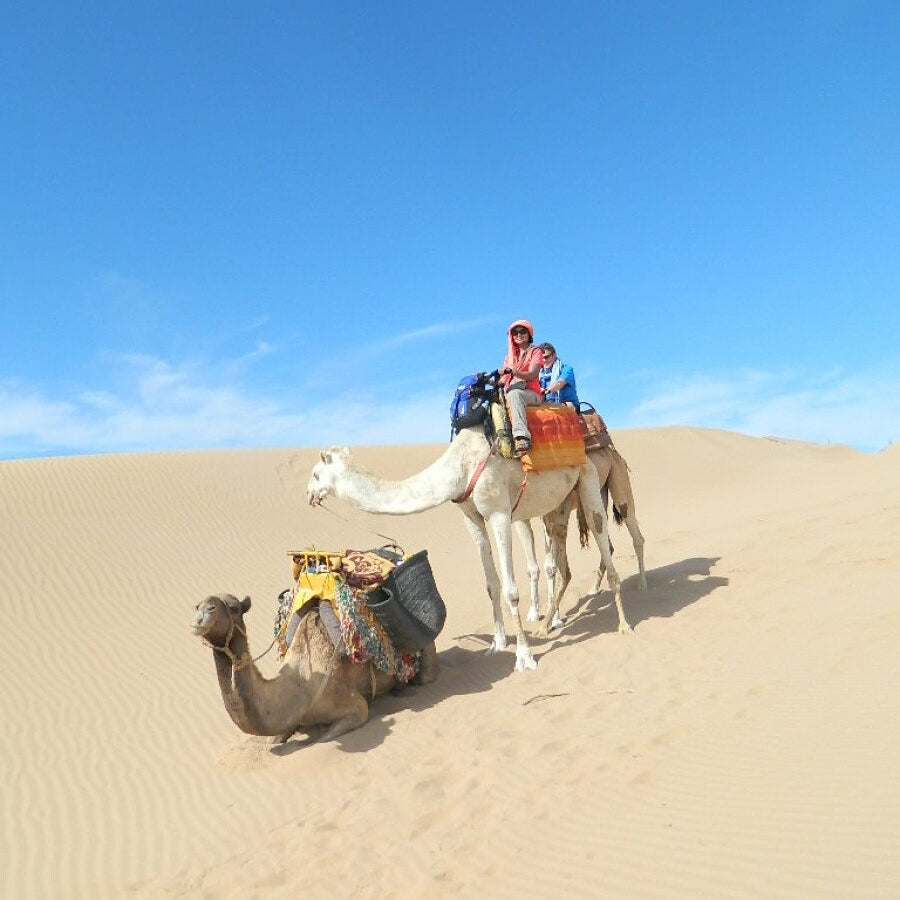 Three-Hour Camel Ride with Moroccan Tea in Essaouira | Ranch de Diabat ...